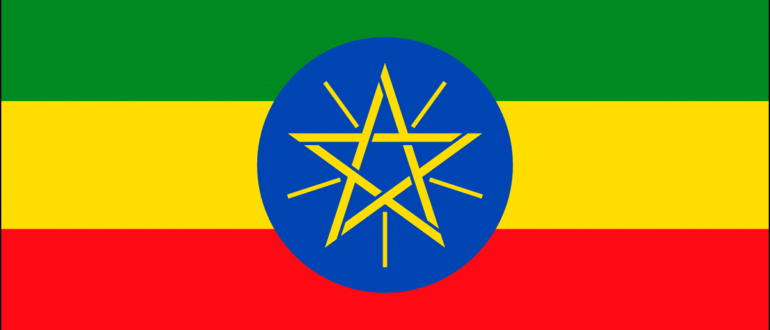 Flaga Nigru: kolory i znaczenie - Flags-World